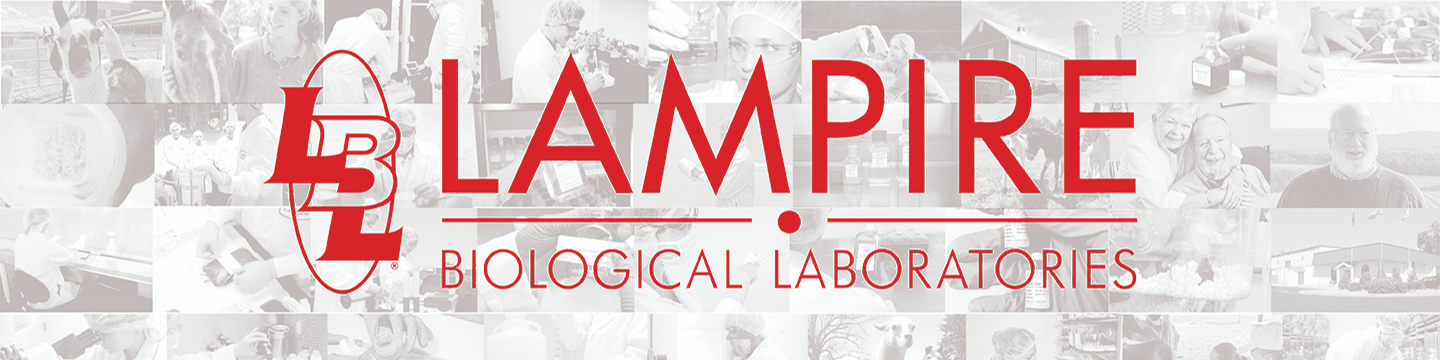 Lampire Biological Laboratories, Inc. - ADLM 2024