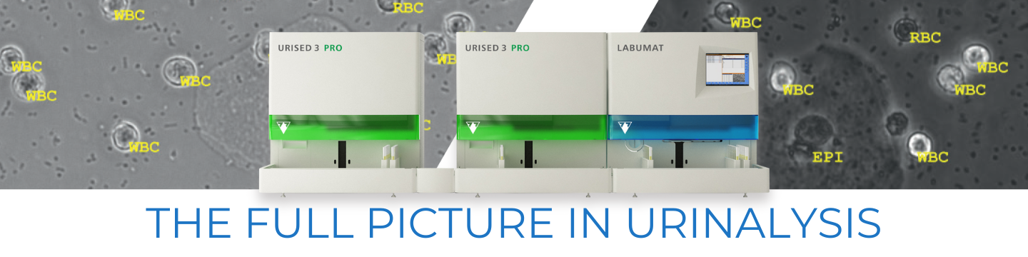 77 Elektronika Ltd. - ADLM 2024