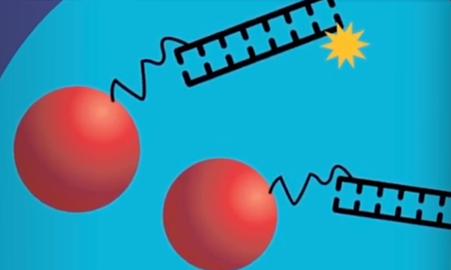 xMAP® Technology - 2025 ADLM