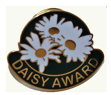 The DAISY Foundation - AORN 2024