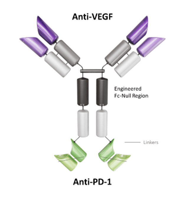 Summit Therapeutics - 2025 ASCO® Annual Meeting