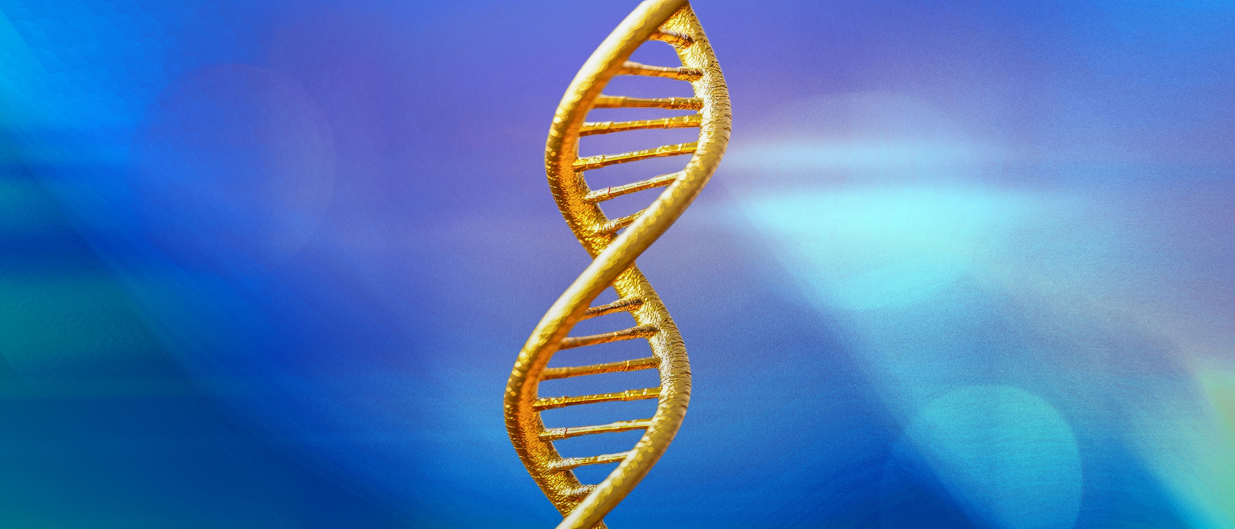 ASGCT 28th Annual Meeting