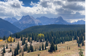 Group Home - CCL Community