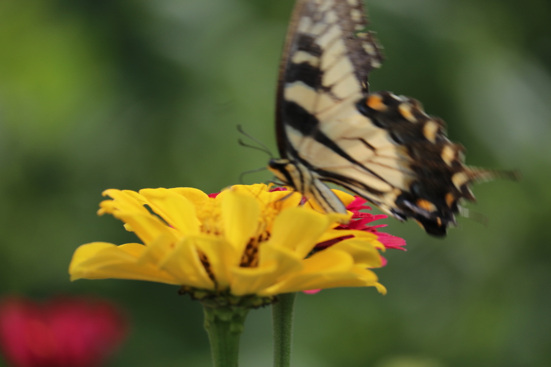 Group Home - CCL Community