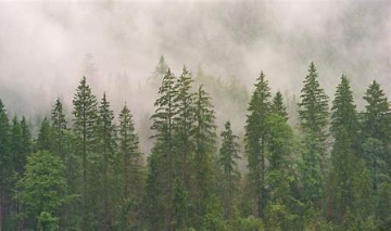 Group Home - CCL Community