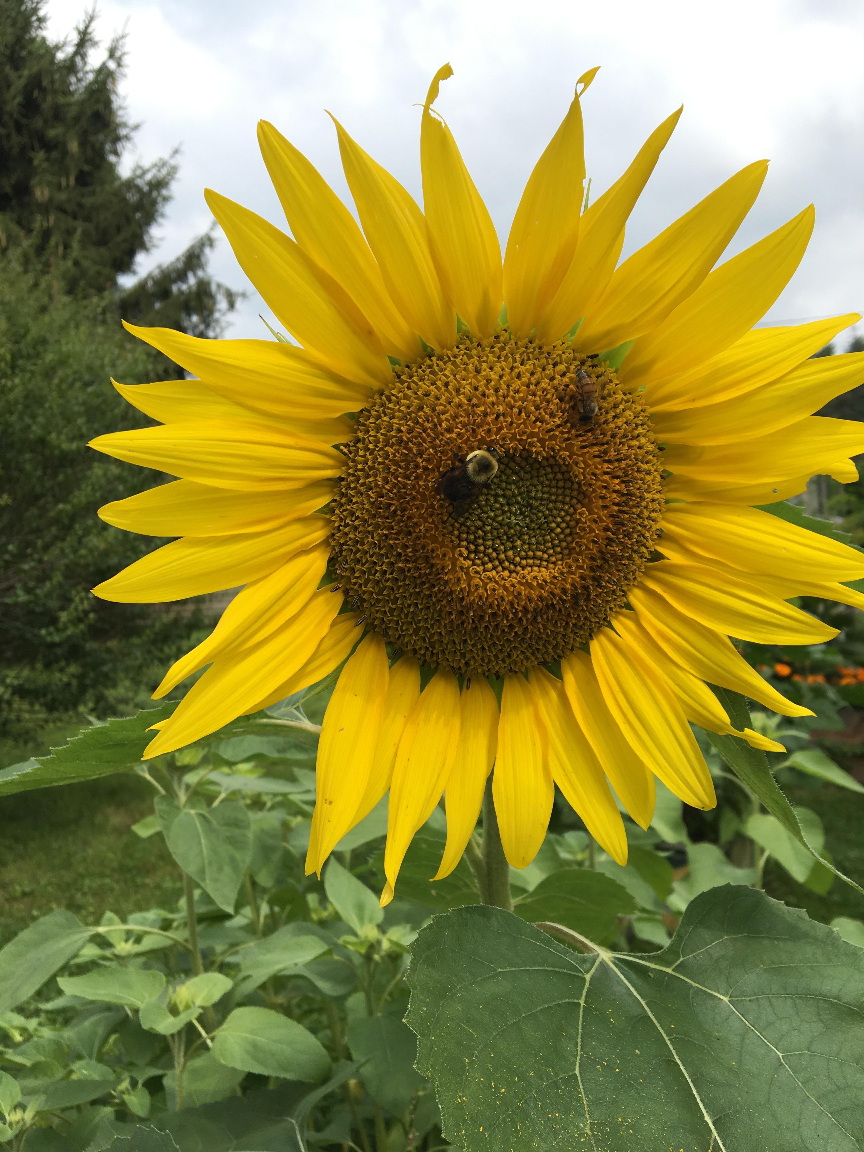 Group Home - CCL Community