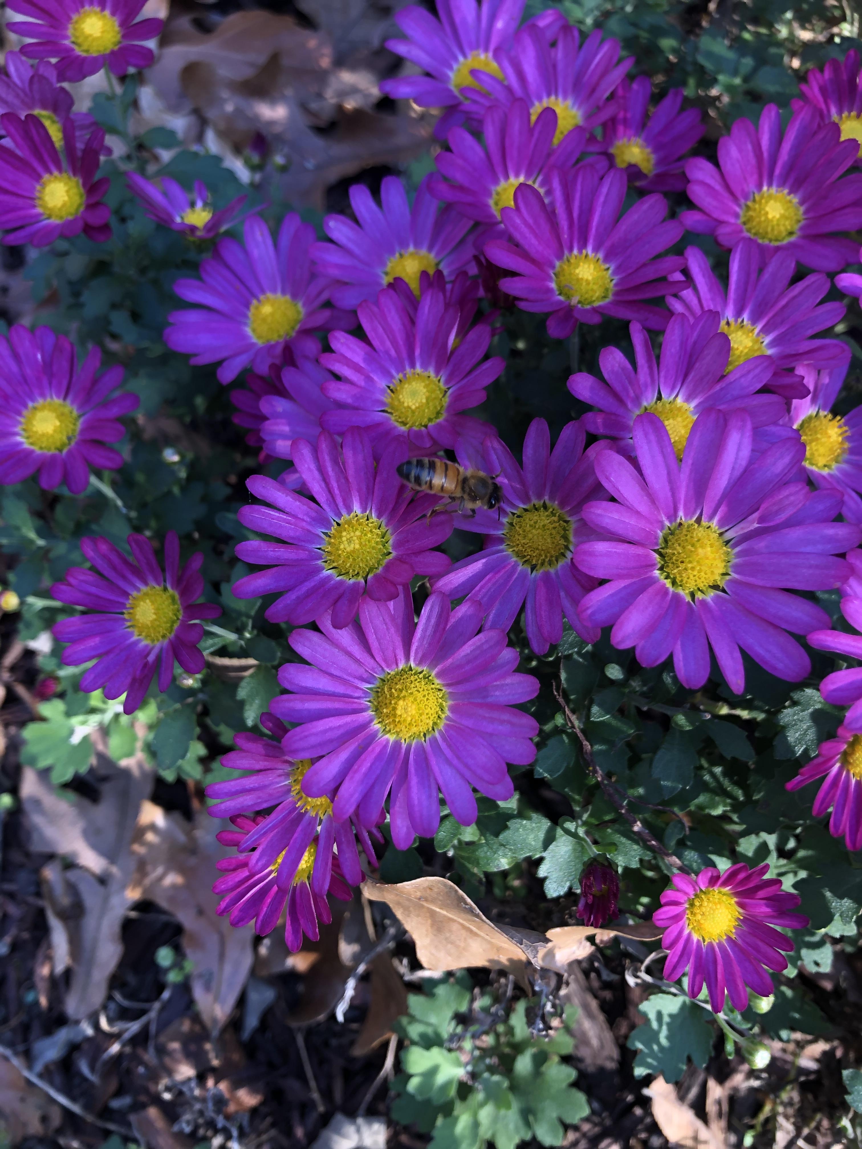 Group Home - CCL Community