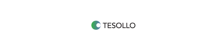 TESOLLO INC - CMTS 2025
