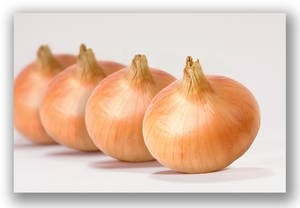 Bybee Produce, LLC - 2024 CPMA Convention and Trade Show