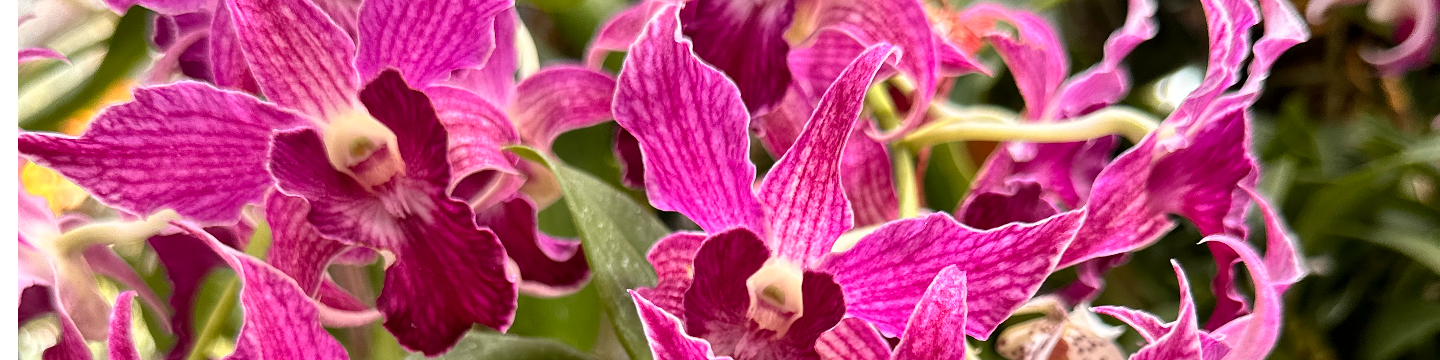 User Profile - NWF EcoLeaders