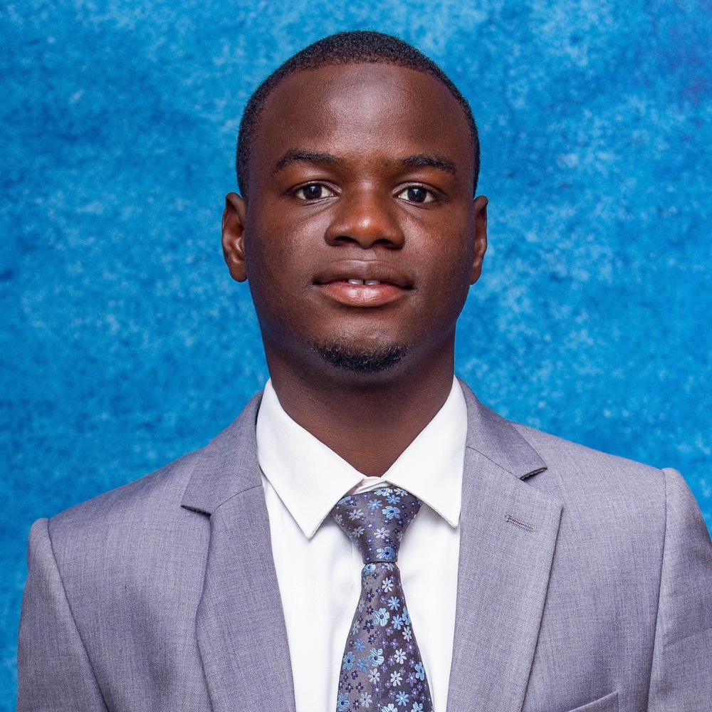 Ambassador Program 24 - ISTAART Community