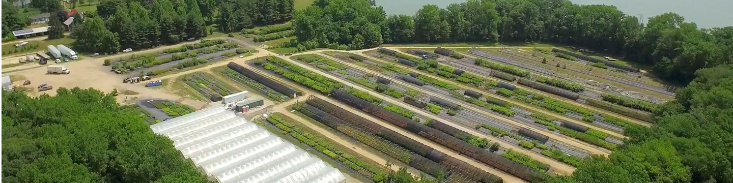 American Native Plants - MANTS2025