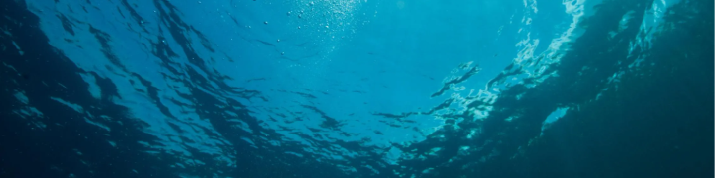 HDI - 2026 Offshore Technology Conference