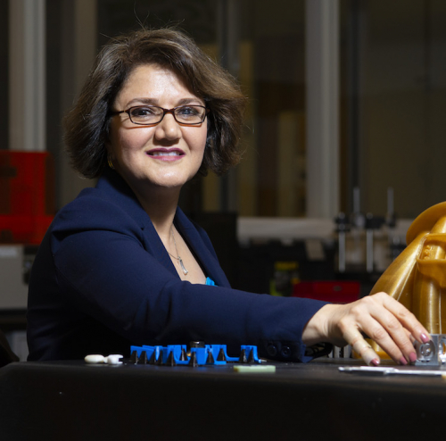 Member Spotlight: Simin Nasseri, PhD - SME Connect