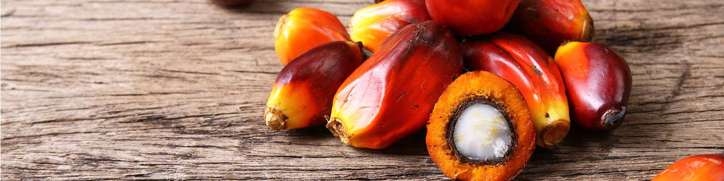 Malaysian Palm Oil Council (MPOC) - SupplySide West 2023 Malaysian Palm Oil Council (MPOC) - SupplySide West 2023