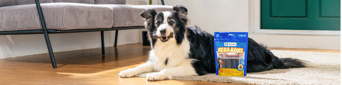 NPIC - Superzoo 2025