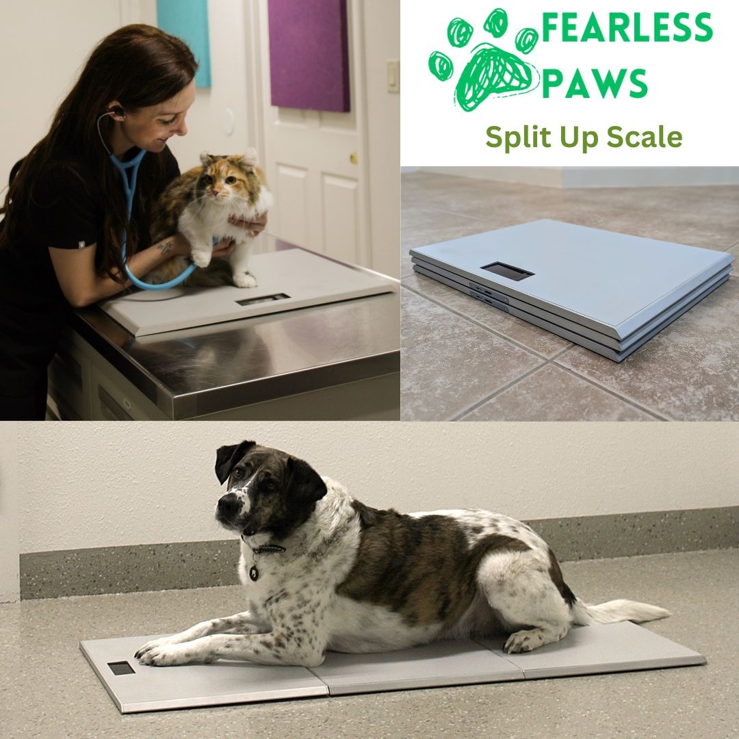 Fearless Paws - Superzoo 2025