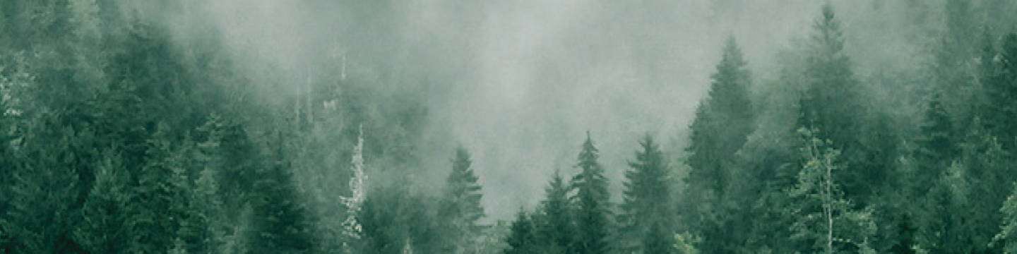 FRONTLINE EQUIPMENT - PA Timber Show 2025