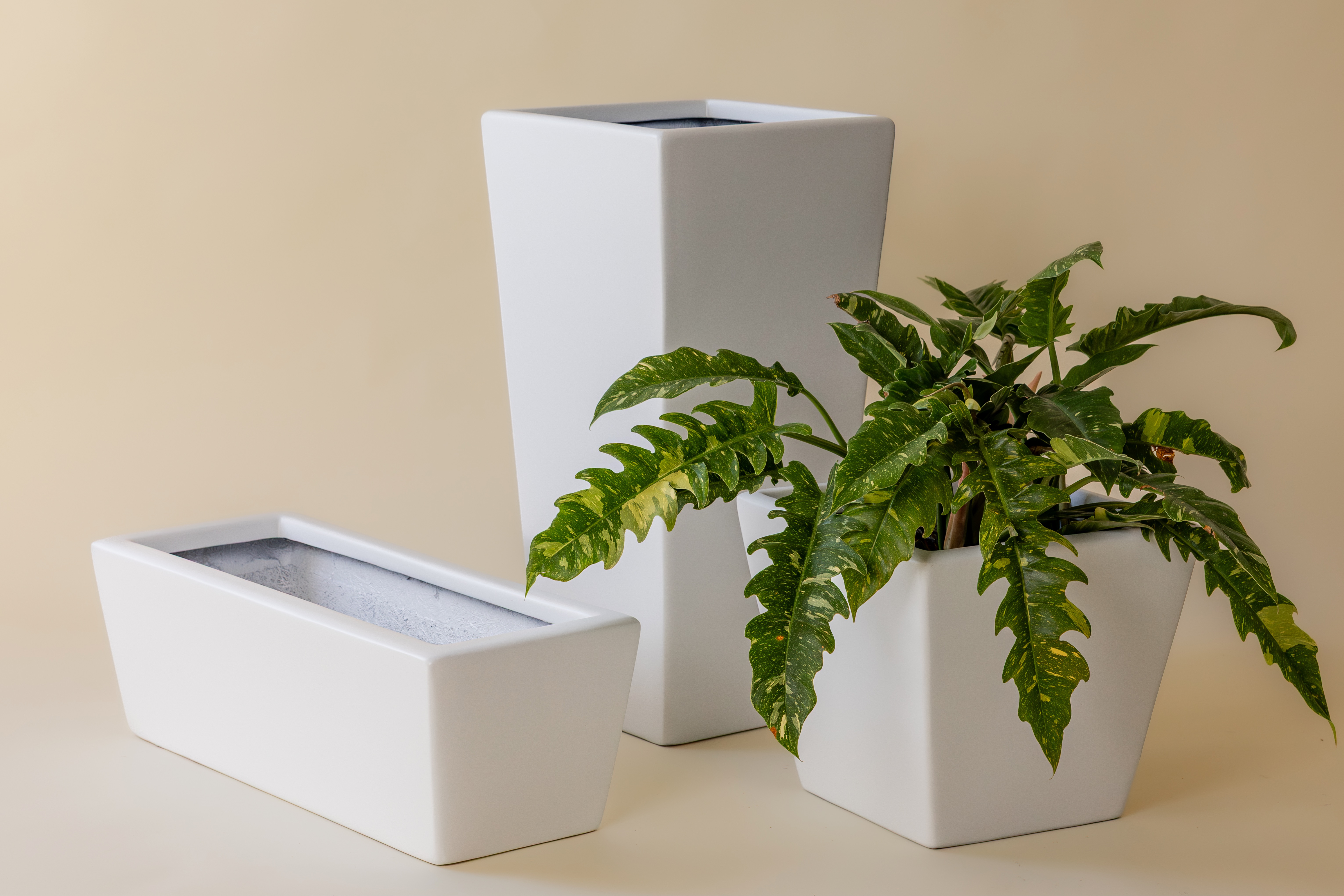 Architectural Supplements - The Tropical Plant International Expo 2026